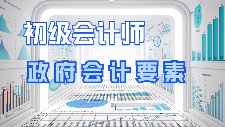 2021年-初级会计实务-3政府会计要素