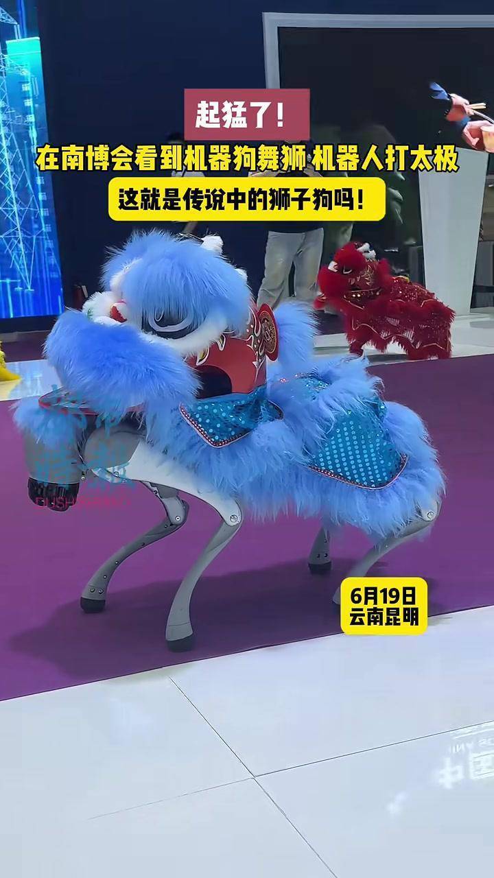 【起猛了!#南博会看到机器狗舞狮机器人打太极#】#领你去逛昆明南博...