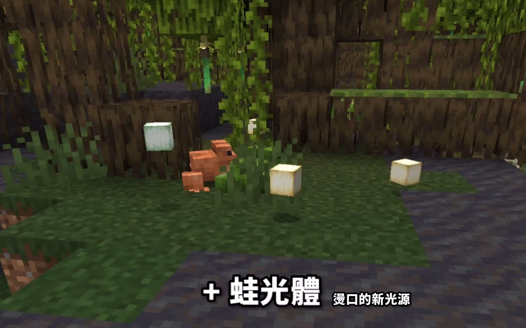 我的世界 | 1.19「荒野更新」懒人包还是太长了!?带你1分钟浏览更新!