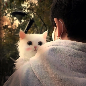 敛湫珊 