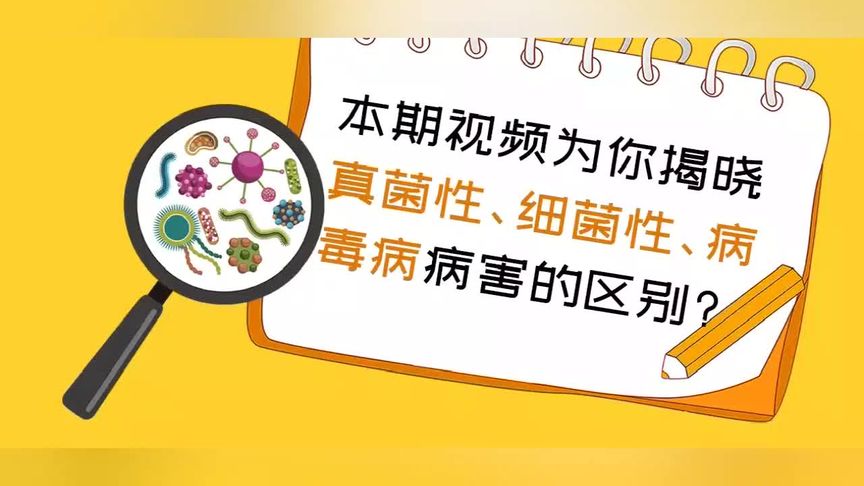 作物真菌性、细菌性、病毒病病害有何区别?这个视频讲透了