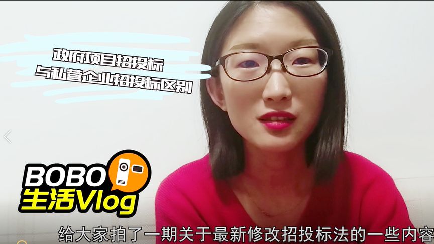 政府和私营企业招投标区别,BOBO目前招投标工作内容,大家聊聊吧