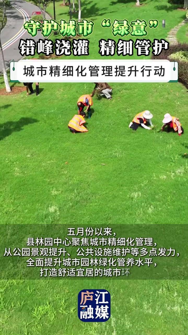 #城市精细化管理庐江园林守护城市"绿意"#园林绿化管养5月份以来,县...