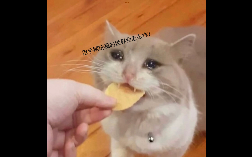 【我的世界】用手柄玩我的世界会怎么样?