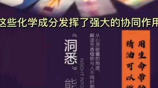 精油为什么会有多种作用?