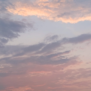 loved氨水 