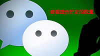 很多人还不知道你微信加多少个好友,快用这个方法看看吧