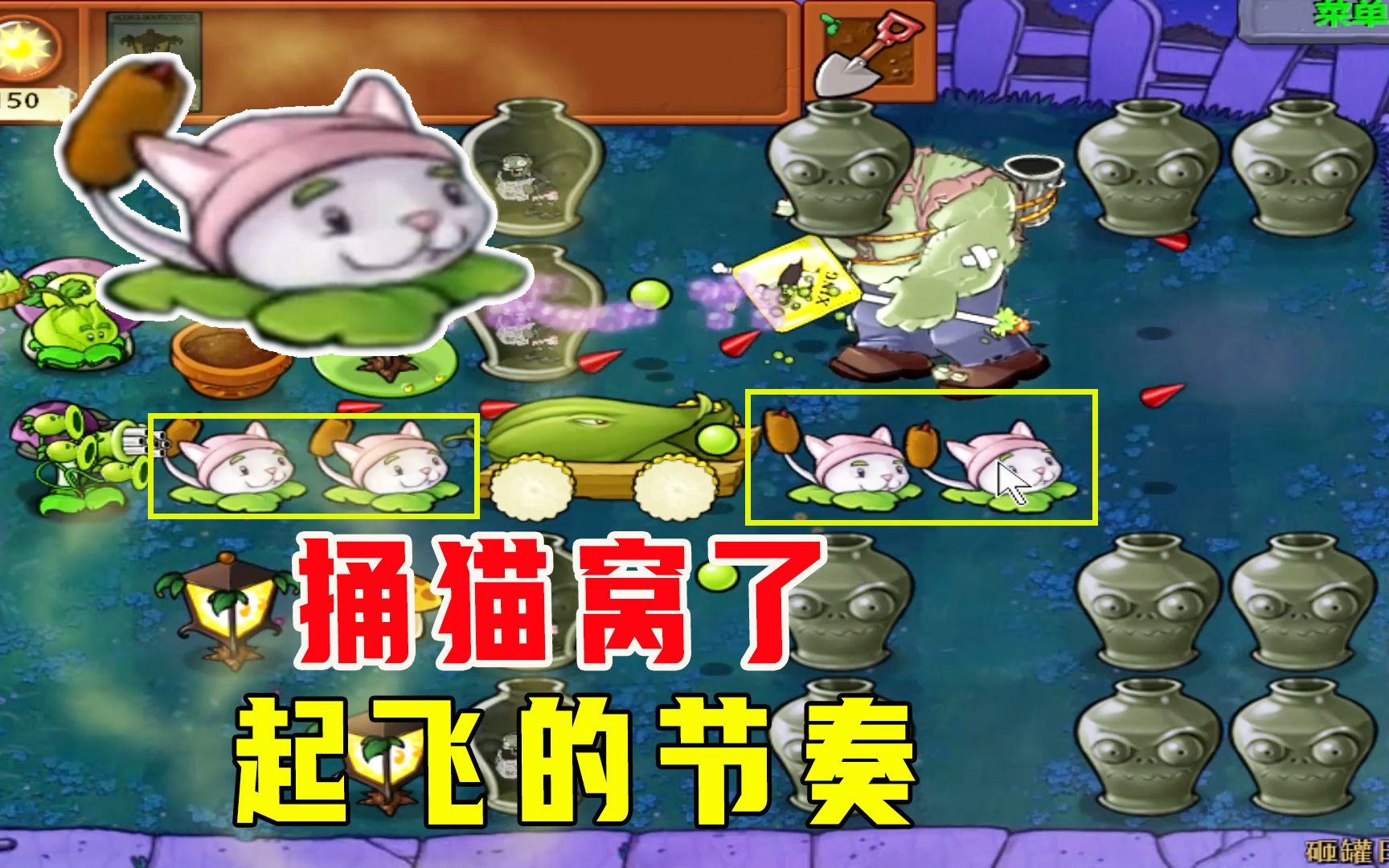 植物大战僵尸:砸罐日志(下),红眼差点让我背黑锅,捅了猫窝了