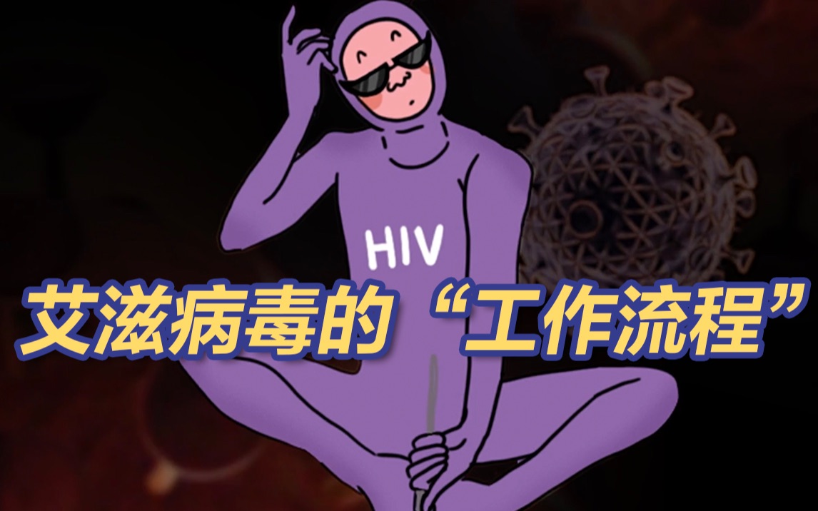 艾滋病病毒在人体内的“工作流程”
