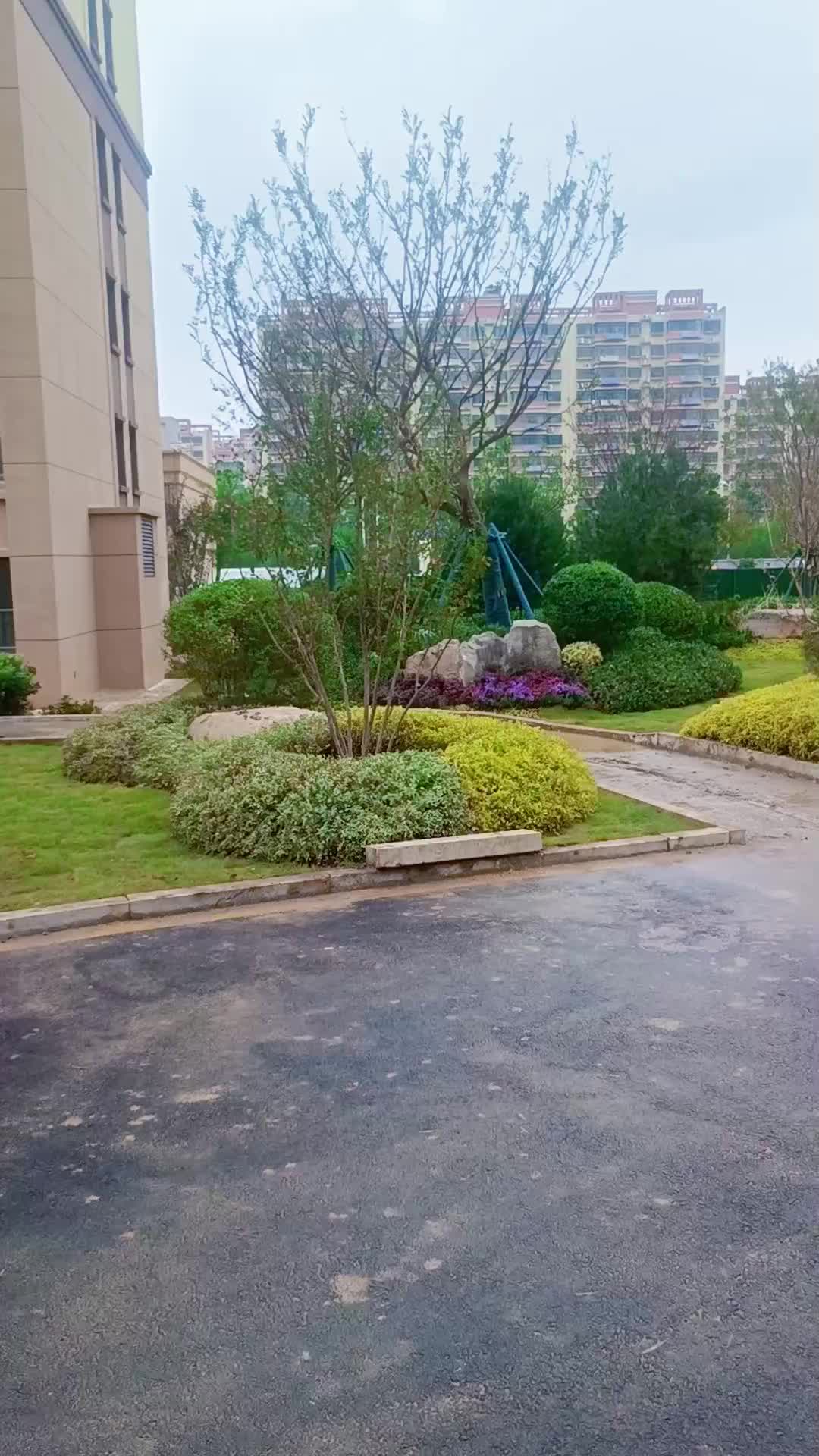 #山东程瑞园林绿化工程有限公司 #临沂市经济技术开发区林梅苗木...