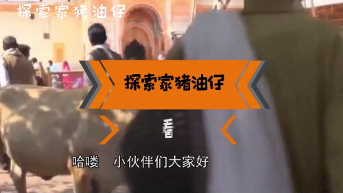 印度传统习俗的抛婴仪式,一点都不顾及婴儿的感受