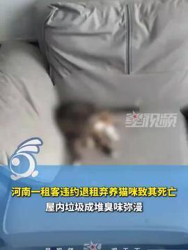 租客违约提前退租,屋内垃圾成堆臭味弥漫,一只猫咪被遗弃已死亡