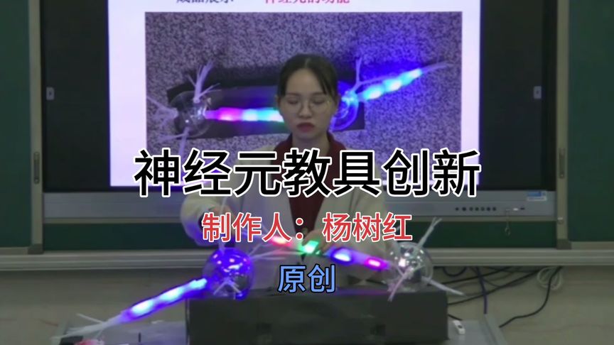 教具创新:神经系统的组成——展示神经元的结构与功能