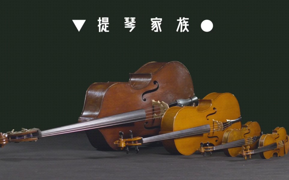 一目了然的乐器介绍系列|提琴家族|小提琴,中提琴,大提琴,低音提琴