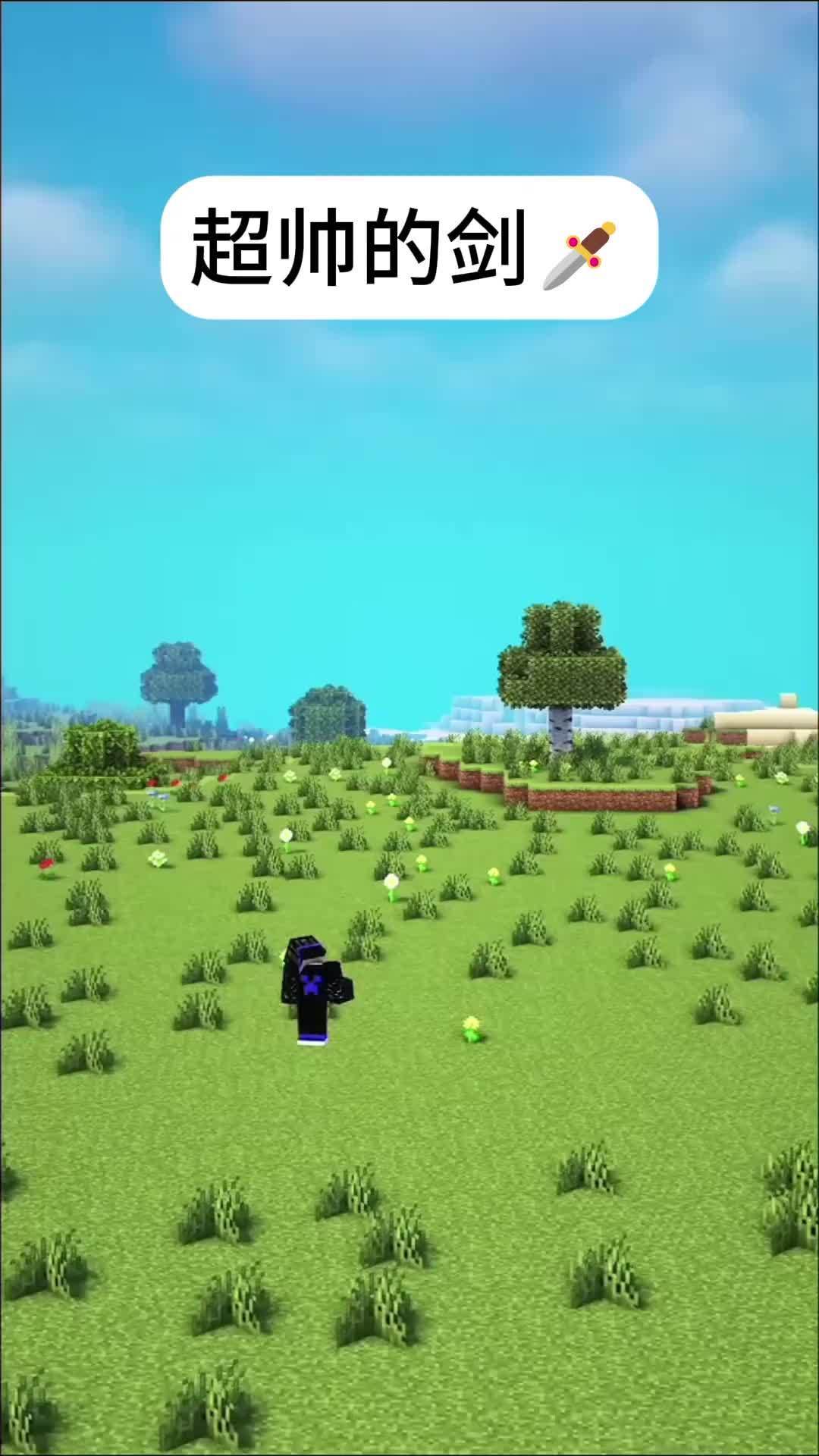 我的世界超帅的剑