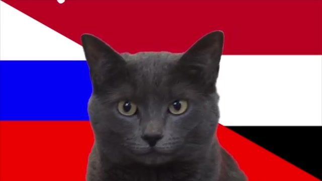 2018世界杯A组第二轮 俄罗斯vs埃及黑猫预测赛果
