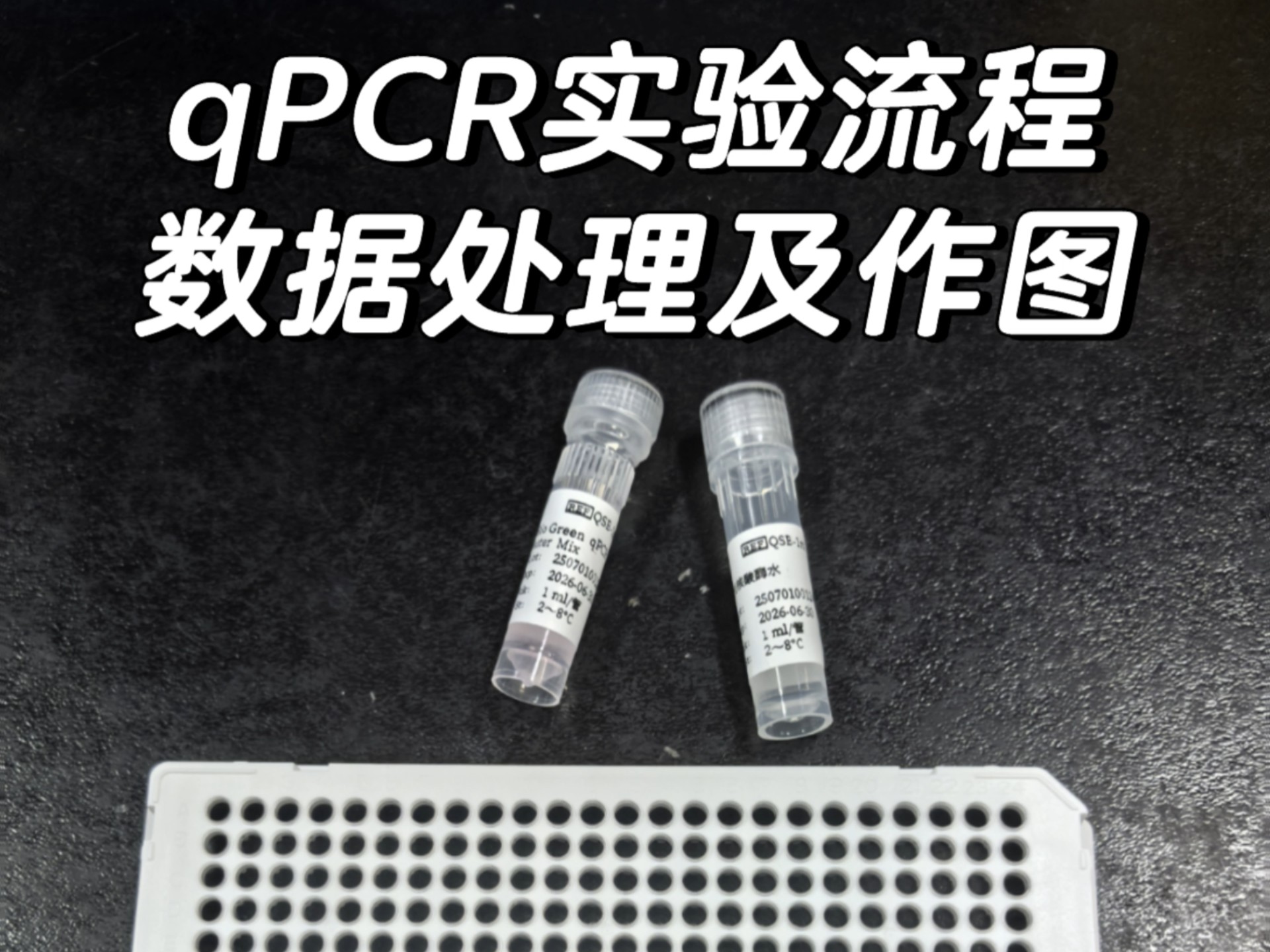 qPCR实验流程、数据处理及作图‼️全流程✨