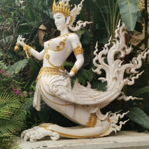 露建 