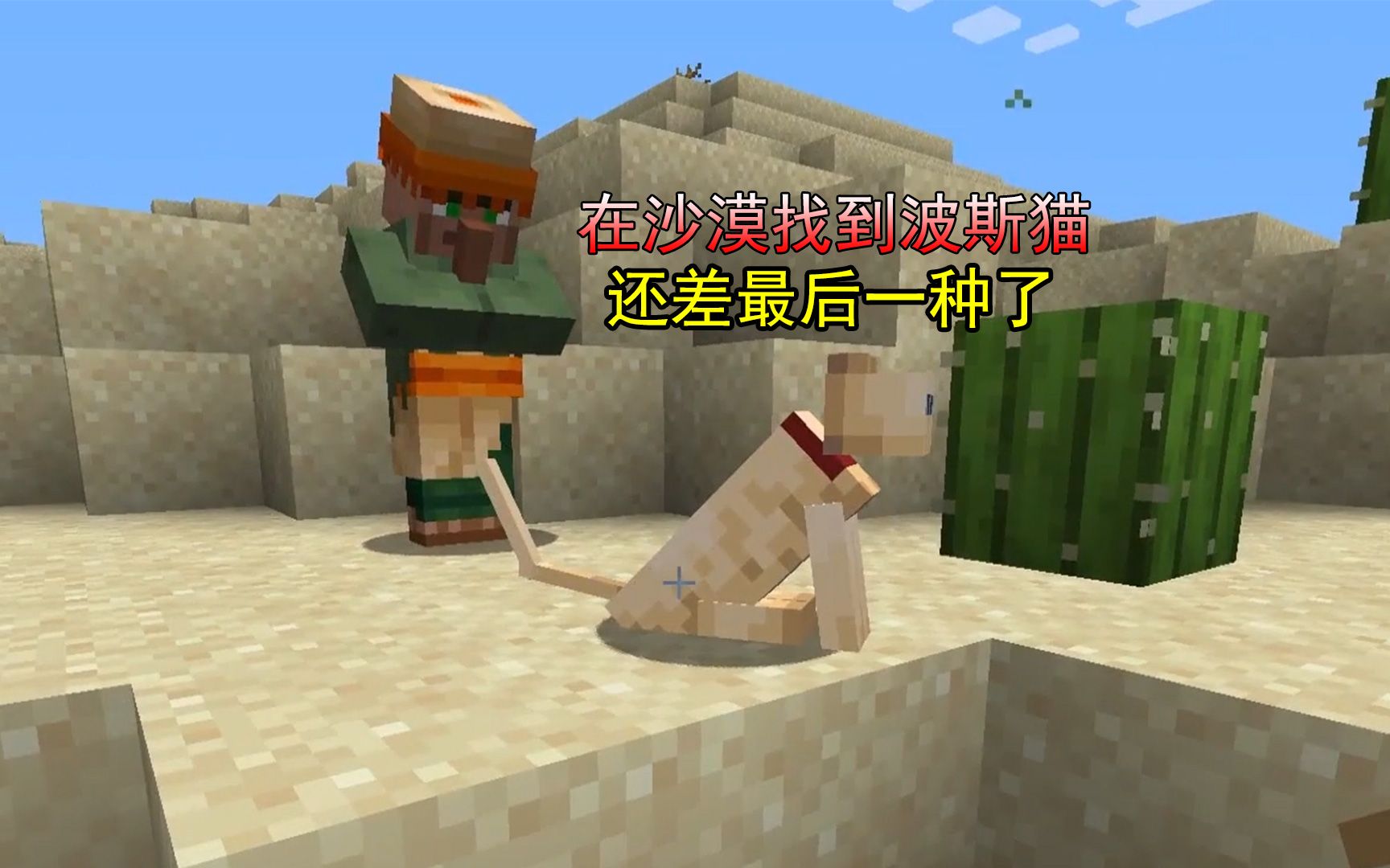 我的世界1.16联机460:在沙漠找到波斯猫,最后目标指向沼泽小屋