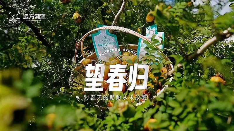 远方好物贵州毕节刺梨溯源