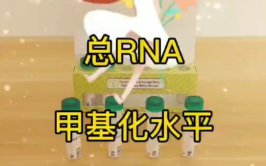 总体RNA甲基化极易定量检测试剂盒(荧光法)