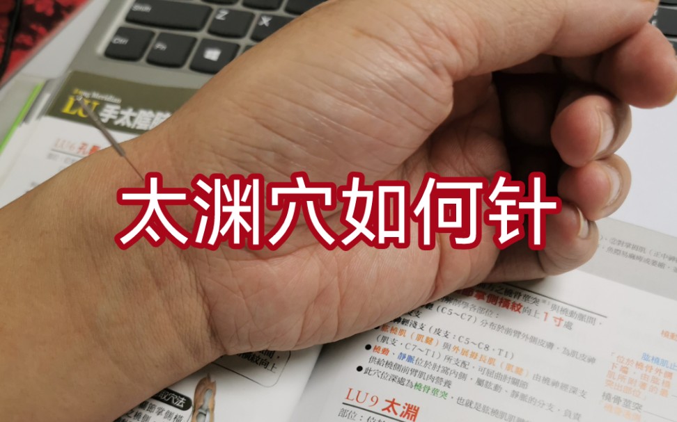 太渊穴怎么取,二羊忙里偷闲实践示范