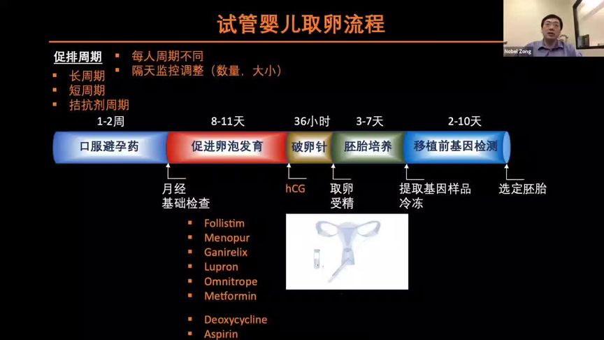 #健康科普 试管婴儿周期的移植过程