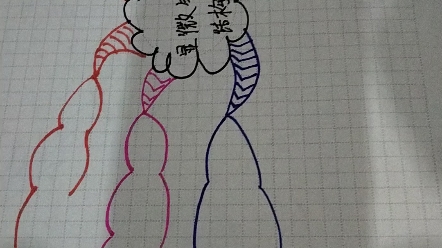显微镜的结构思维导图