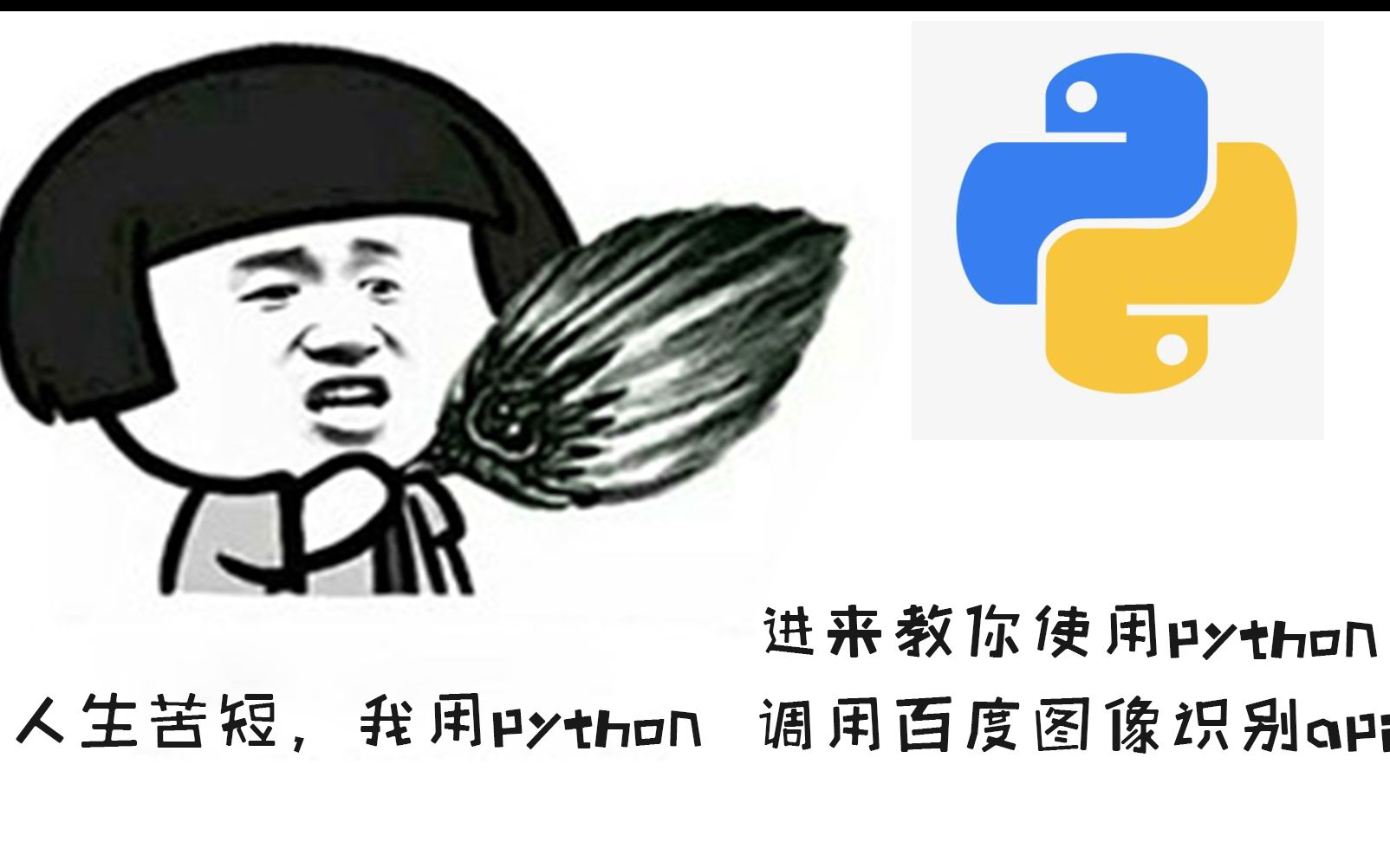 利用Python调用百度api教程!