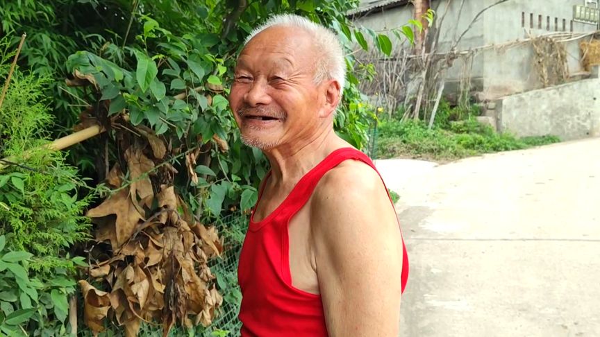 老人从厦门带回四川的树种,生长了20多年,树叶和树皮都有用途