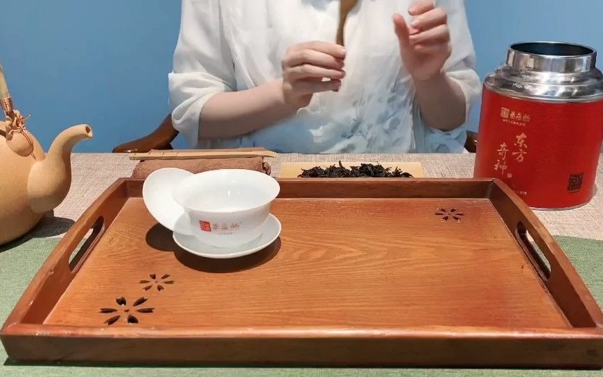 茶勺、茶拨、茶则的使用方法#茶 #茶文化 #茶具 #海口