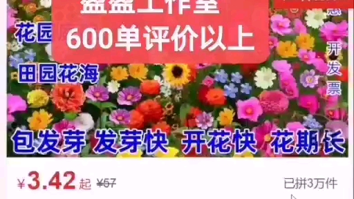 拼多多商家交流,拼多多卖家,拼多多新手