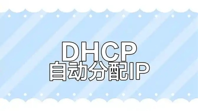 动态主机配置协议DHCP:基于接口地址池分配IP