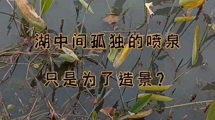 #河湖治理 中的喷泉是表面曝气增氧,快速提升水体溶氧改善水质,搭配...
