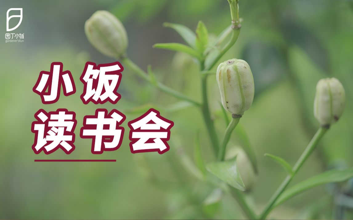 【园丁小饭】教你观察种子的一生,看完就想去播种