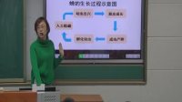 《昆虫记》阅读激趣_教学示例《蝉》内蒙古