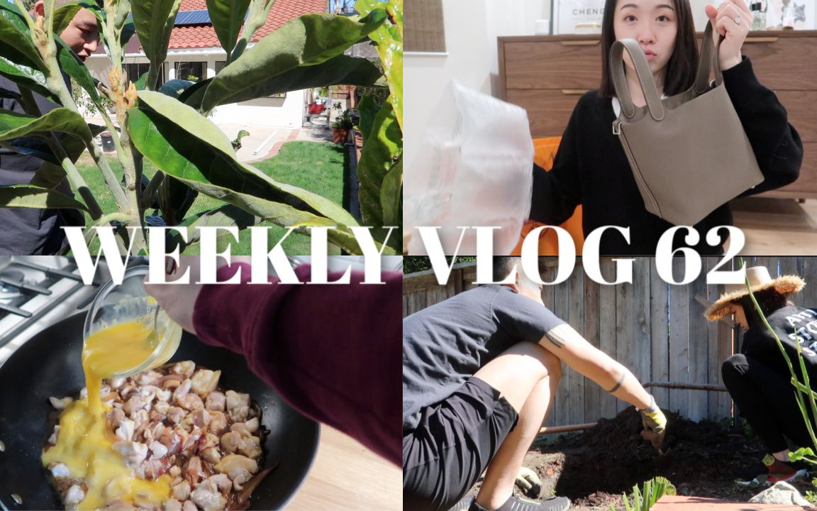 WEEKLY VLOG 62 | “农场计划” 、新水桶包开箱、亲子丼教学、把...
