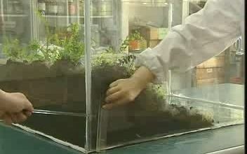 设计并制作生态缸观察其稳定性