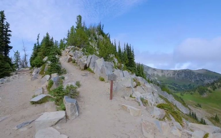 小妙招去除纸上的红笔记,新打印的文件怎么做旧