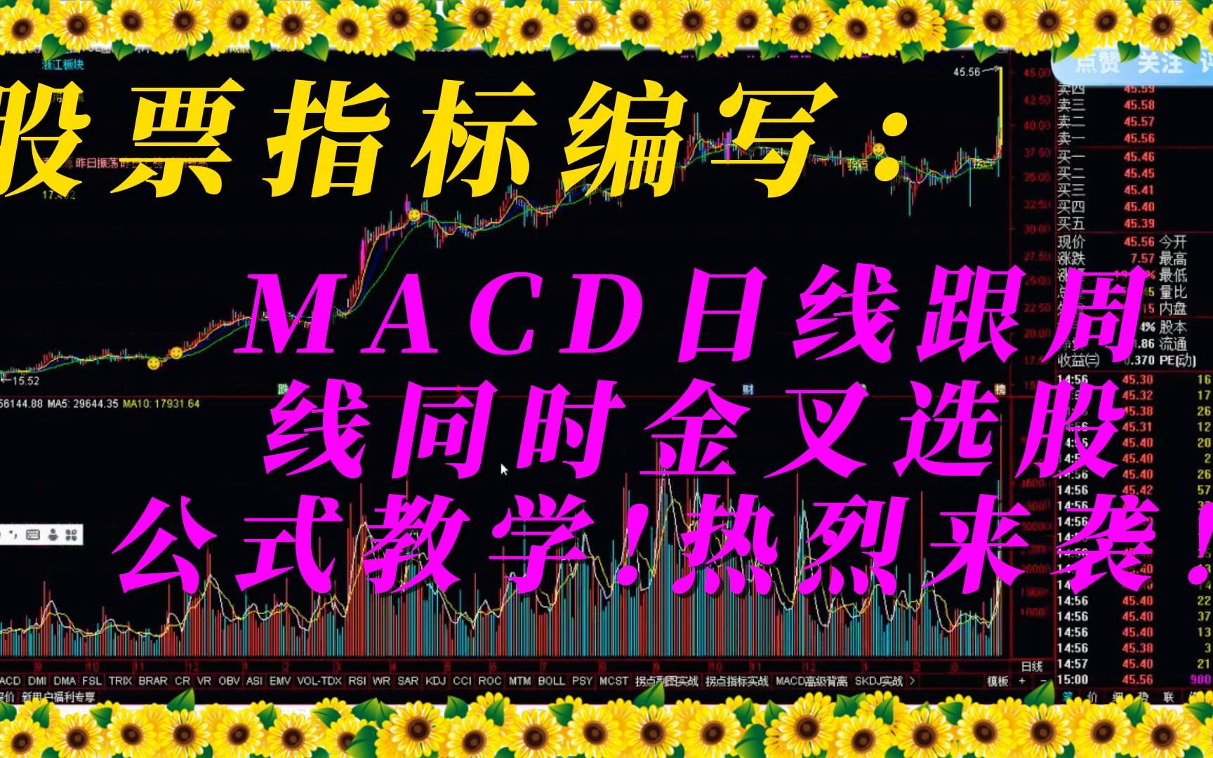 股票指标编写:MACD日线跟周线同时金叉选股公式教学!热烈来袭!
