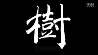 书法讲座 范体楷书入门树字的写法(看范笑歌大师诠释楷书技法)