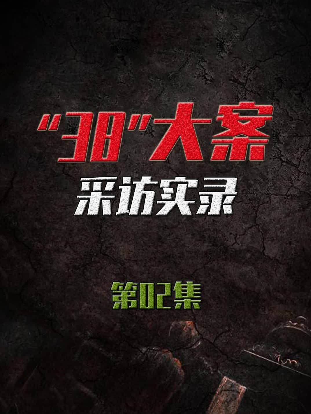 38大案侦破记采访实录(第02集)