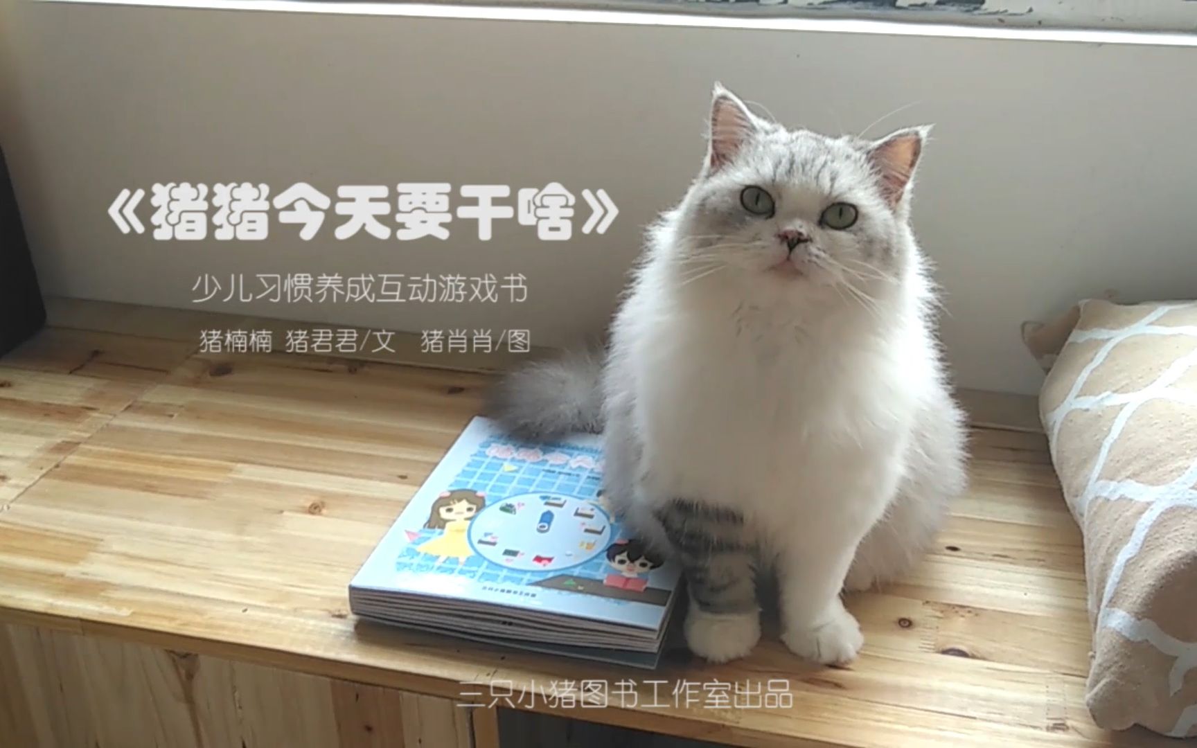 【自制手工书】《猪猪今天要干啥》互动绘本