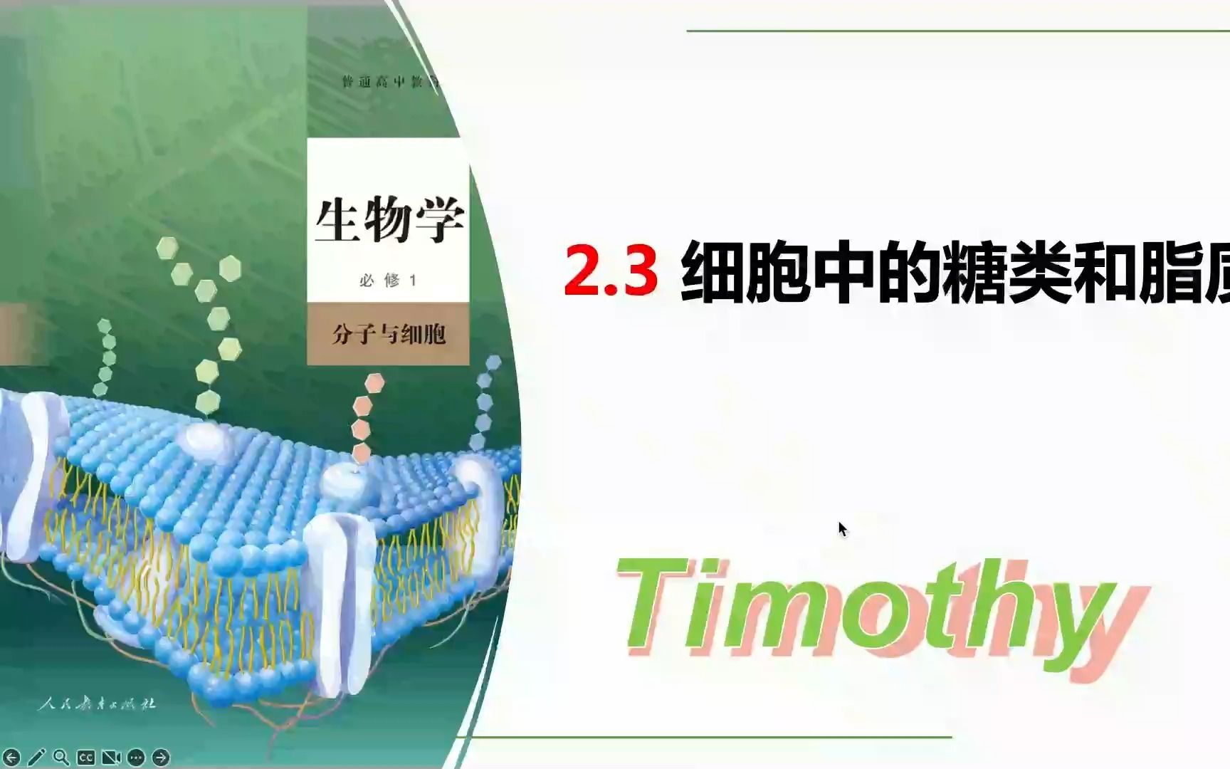 【2023生物学必修1】2.3-1细胞中的糖类和脂质 单糖二糖多糖非还原...