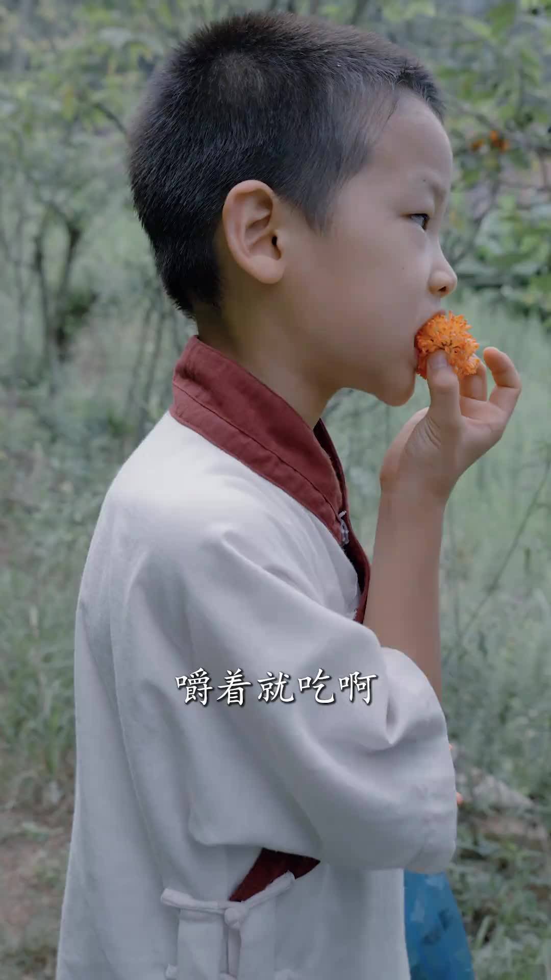 来武当山学中医文化,今天上山认识草药