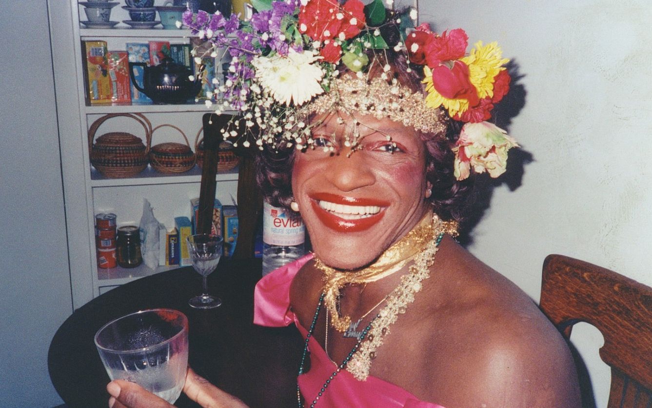 [英语中字][Netflix纪录片]玛莎·约翰逊的死与生 The Death and Life of ...