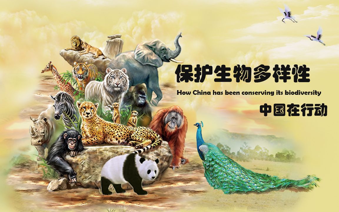 如果不再保护,这些生物将会消失!