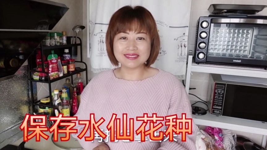 水仙花种子这样保存的,下期开花时节再拿出来种水里