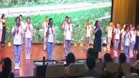 厉害了我的国手语表演