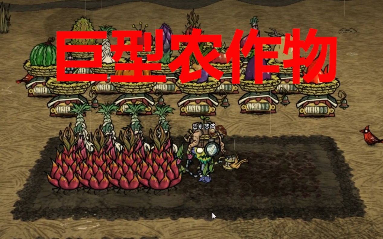 饥荒联机:新版本如何种植巨型农作物?